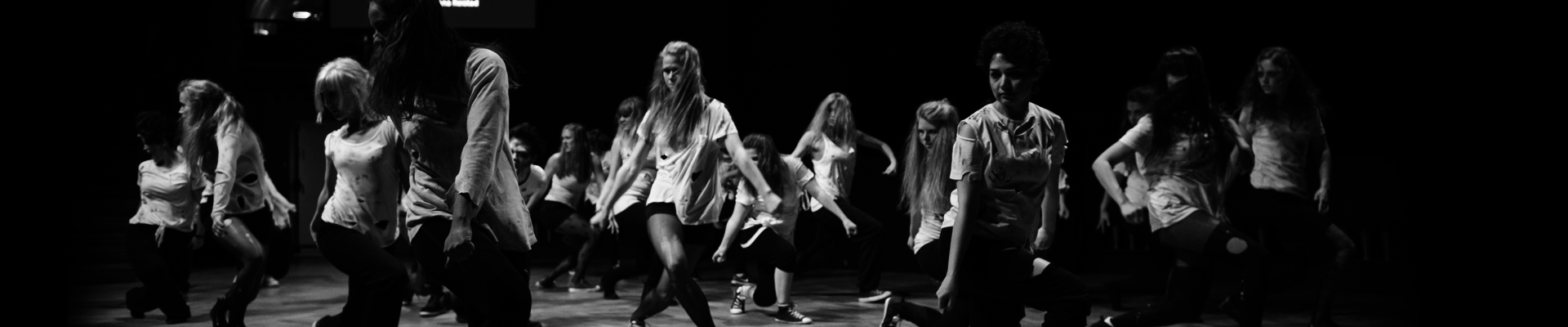 DANSESHOW MED NTNUI DANS - Samfundet.no